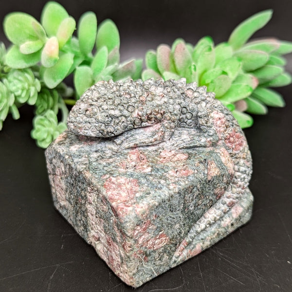 Unakite Lizard Carving~ CRULCAR2 – EarthSpeak