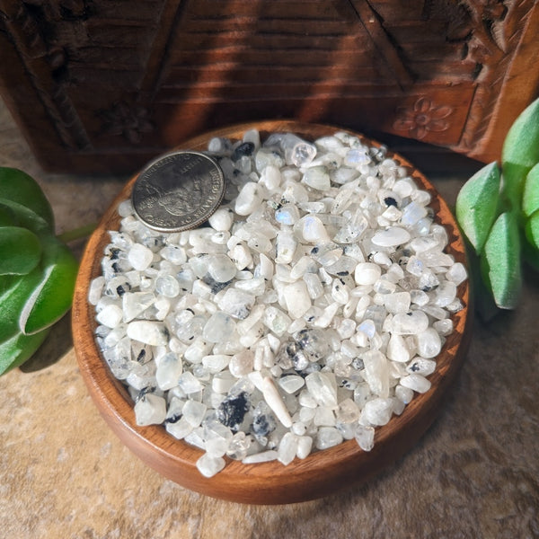 Moonstone Chips~CRCRMOON – EarthSpeak